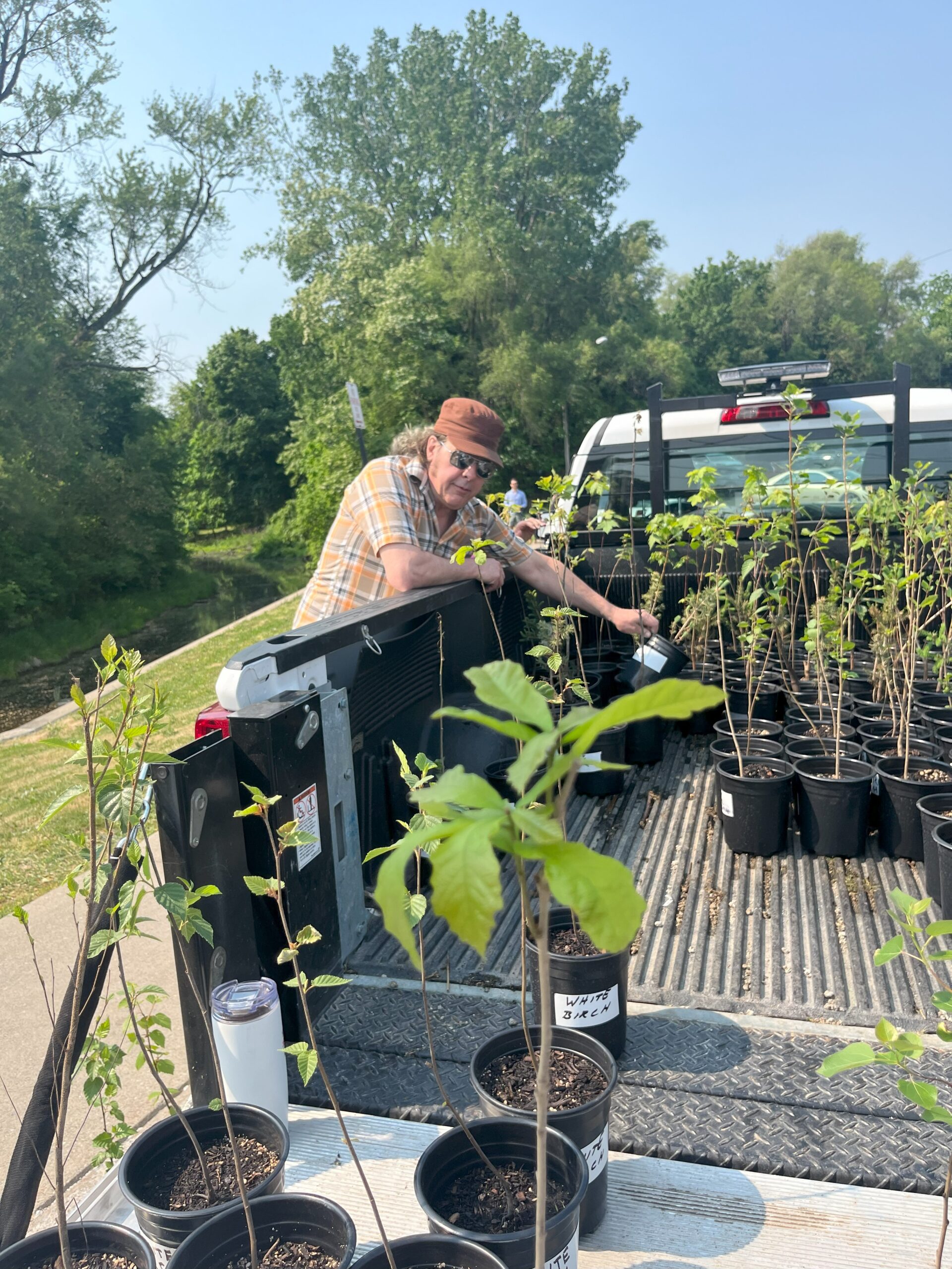 Tree Board | Village of Williamsville